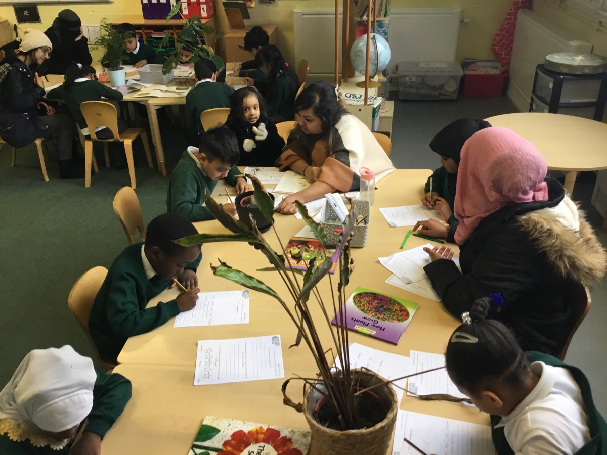 Grove School